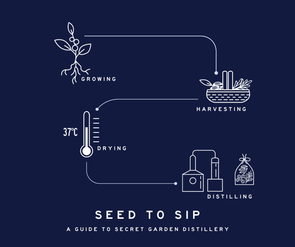 Our Seed to Sip Process – Secret Garden Distillery